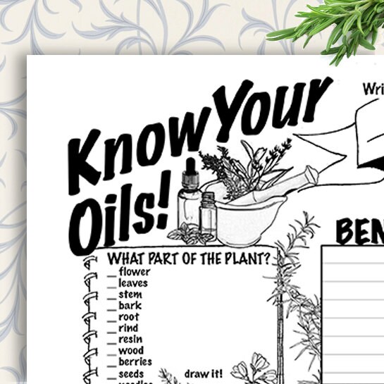 Printable Essential Oils Coloring Worksheet Journal Page - Etsy