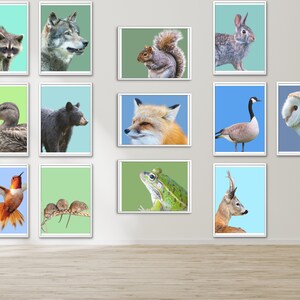 Sensory Room Posters- Set of 13 Calming Corner Posters- Sensory Room ...