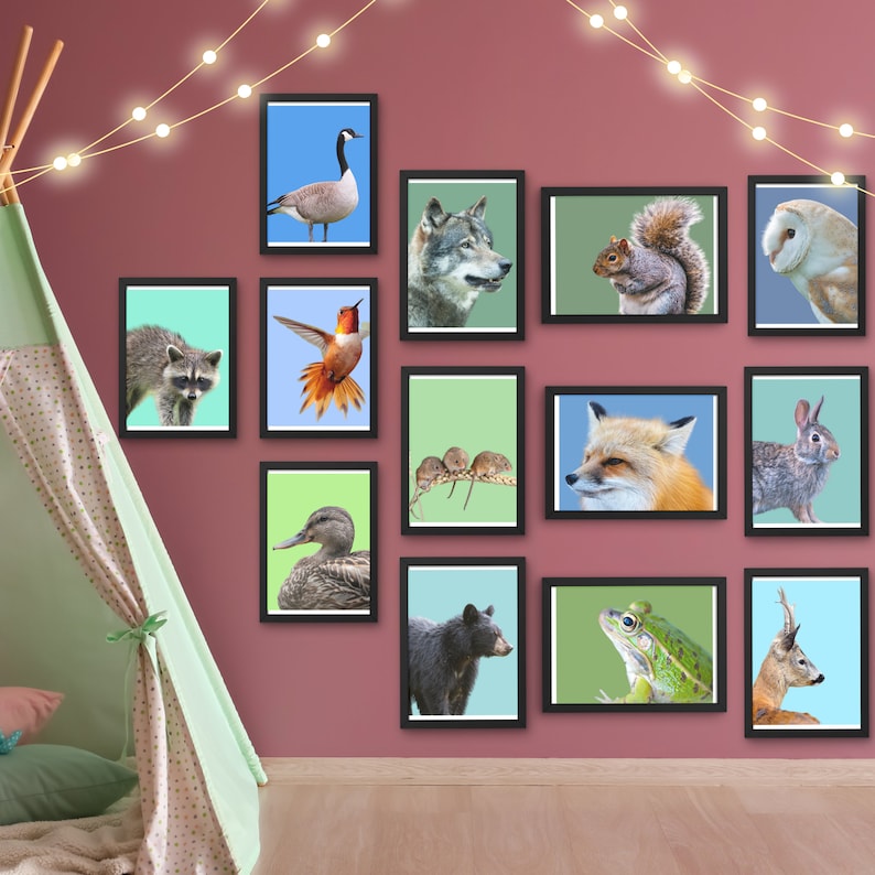 Sensory Room Posters- Set of 13 Calming Corner Posters- Sensory Room ...
