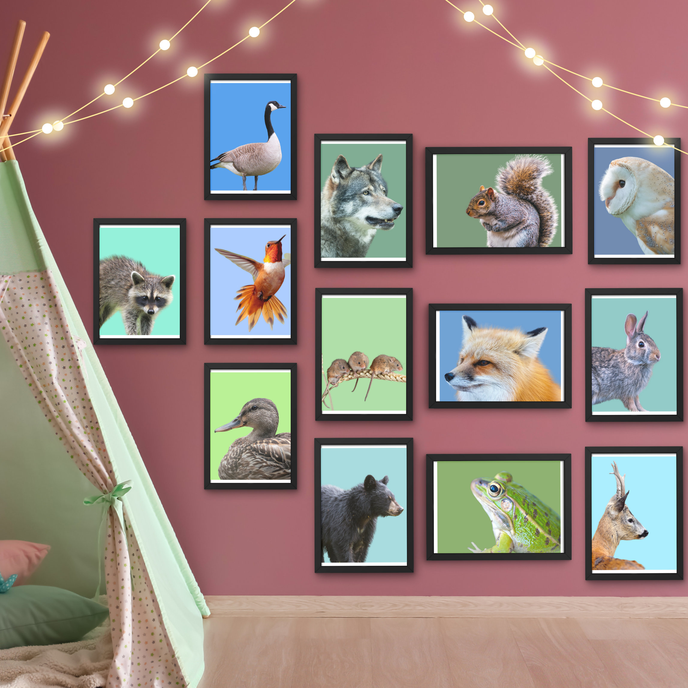 Sensory Room Posters- Set of 13 Calming Corner Posters- Sensory Room ...