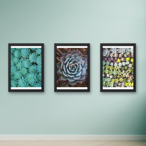 Sensory Room Posters- Set of 15 Calming Corner Posters- Sensory Room ...