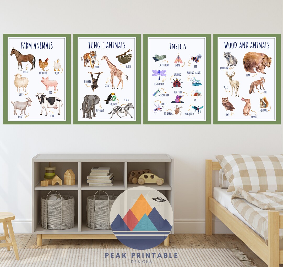 Educational Animals & Insects Wall Art Set of 4- Homeschool, Classroom ...
