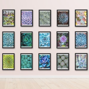 Sensory Room Posters- Set of 15 Calming Corner Posters- Sensory Room ...