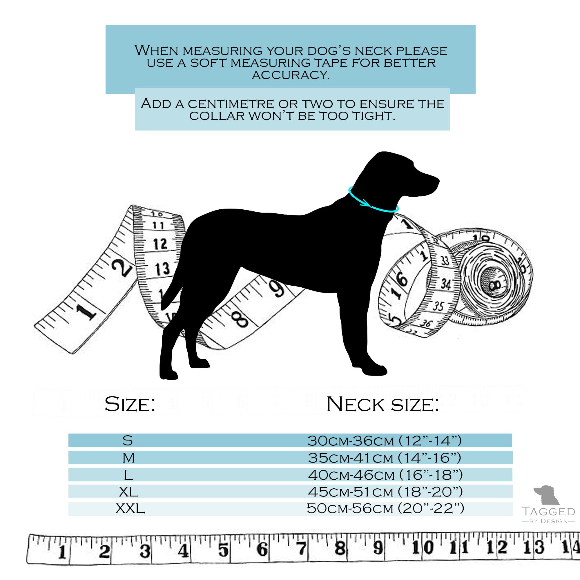 Double Layered Waterproof Biothane® Dog Collars - 38mm - Etsy UK