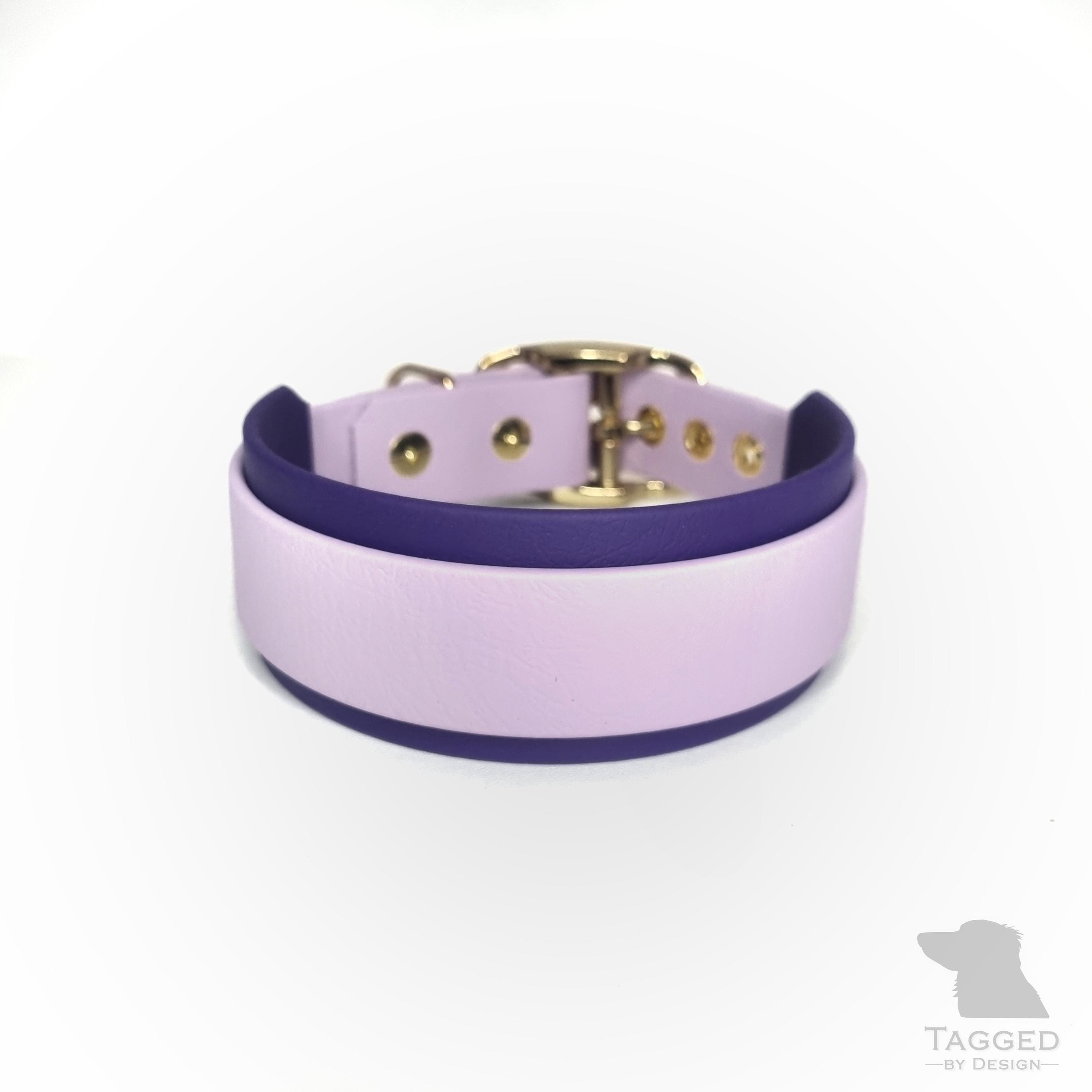 Double Layered Waterproof Biothane® Dog Collars - 38mm - Etsy UK