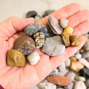 Great Lakes Pebbles Sorting Stones Craft Pebbles Lake Ontario - Etsy