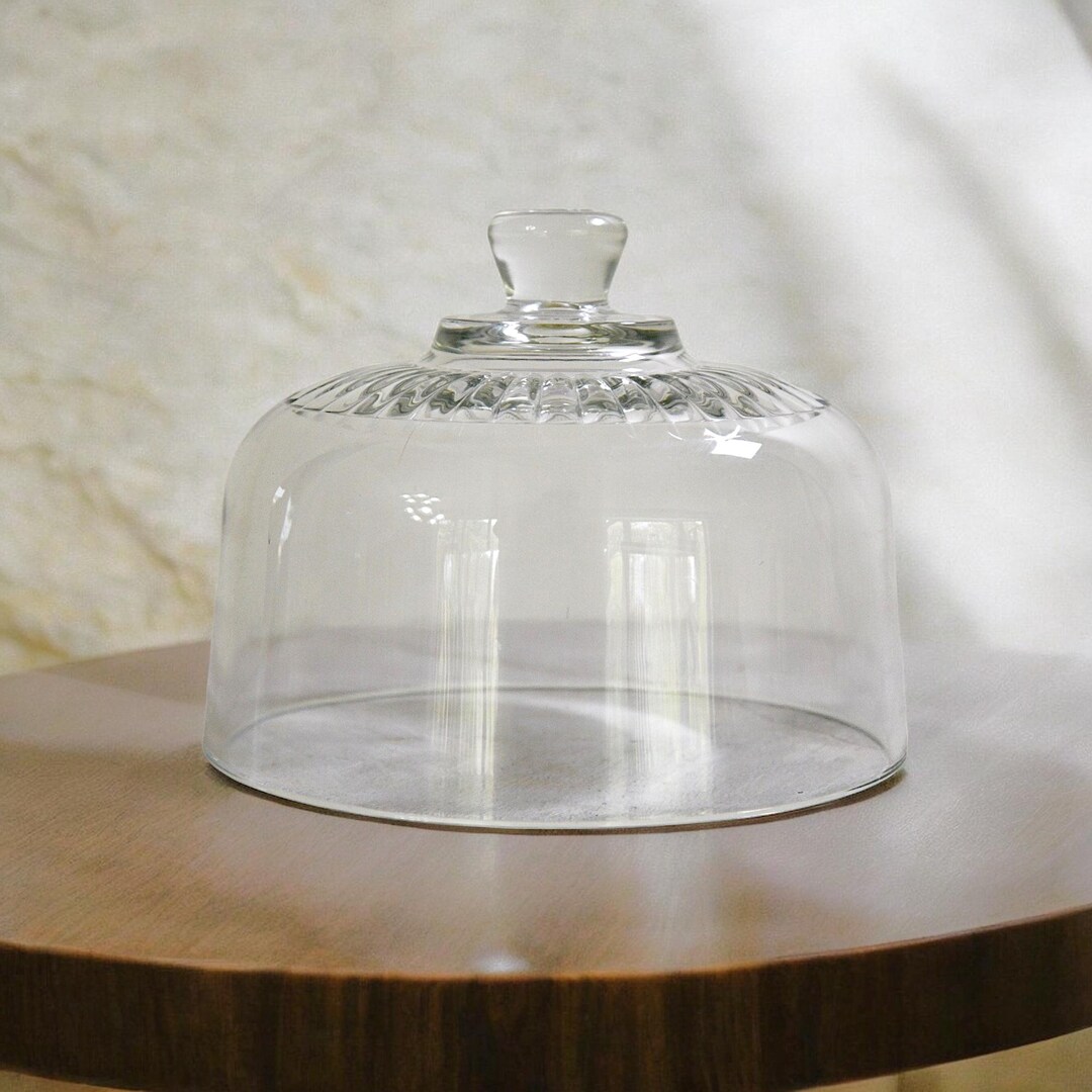 Vintage Glass Cloche Display Dome Bell Jar, Terrarium Plant Cloche, Air ...