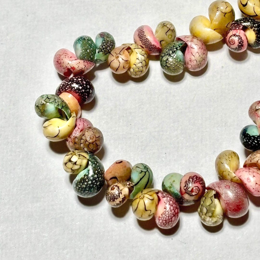 Tiny Colored Snail Shell Bead Necklace, Vintage Boho Seashell Necklace ...