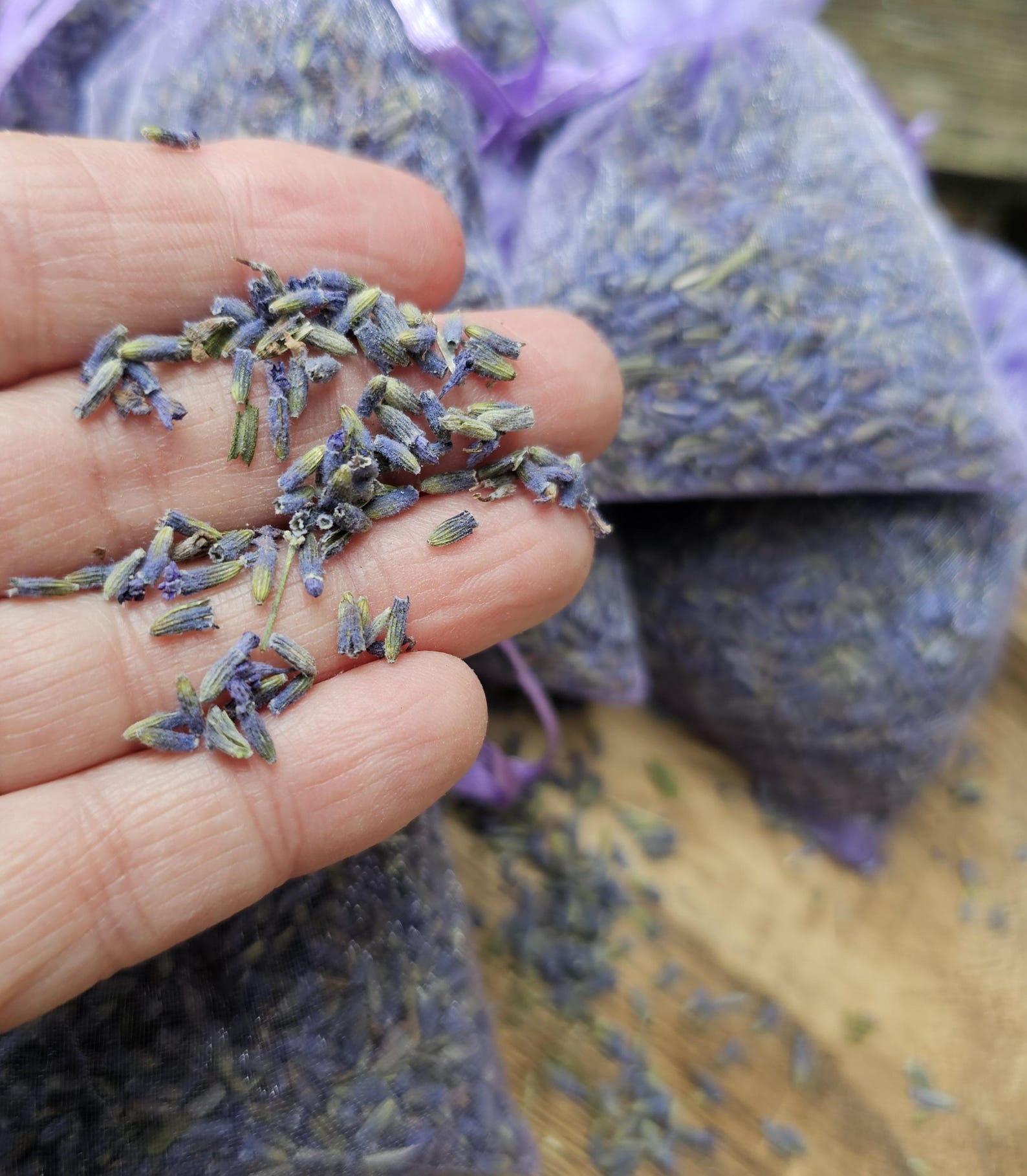 LAVENDER Sachet Drawer Linen Closet Sleep Aid Relax Stress Anxiety ...