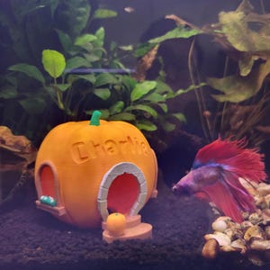 Pumpkin House Fish Tank Hide - Aquarium Cave for Bettas and Shrimp ...