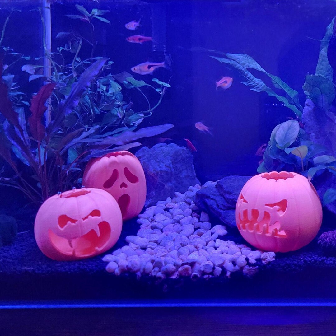 Halloween Aquarium Decor, Personalized Custom Jack O'lantern Pumpkin ...