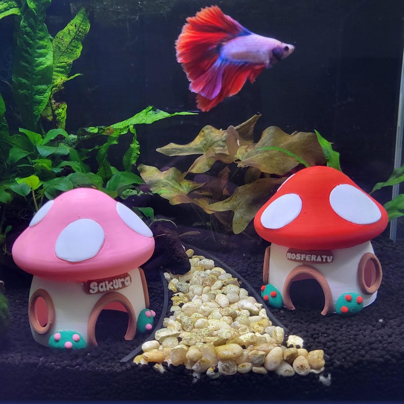 Fish Tank Mushrooms - Etsy
