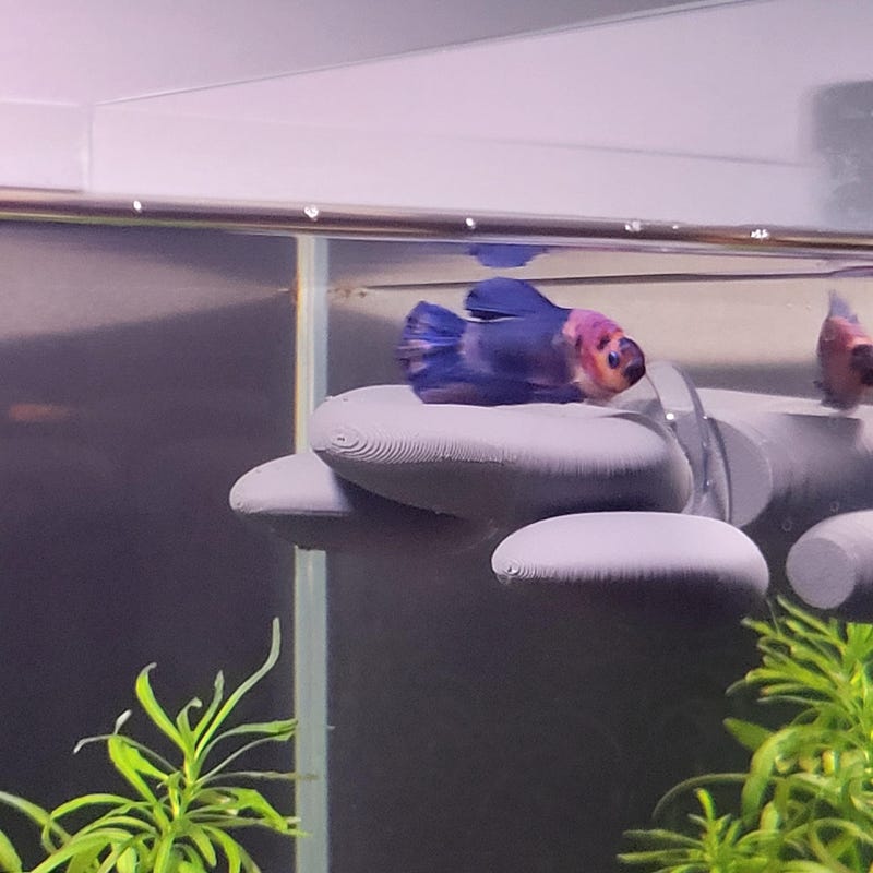 Magnetic Aquarium Moss - Etsy