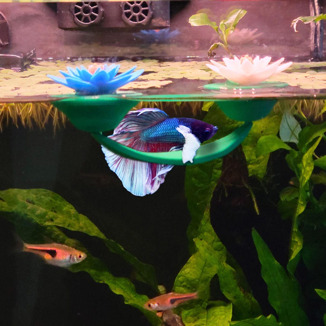 Floating Betta Bed Rest Hammock, Leaf With Water Lily Flowers ...