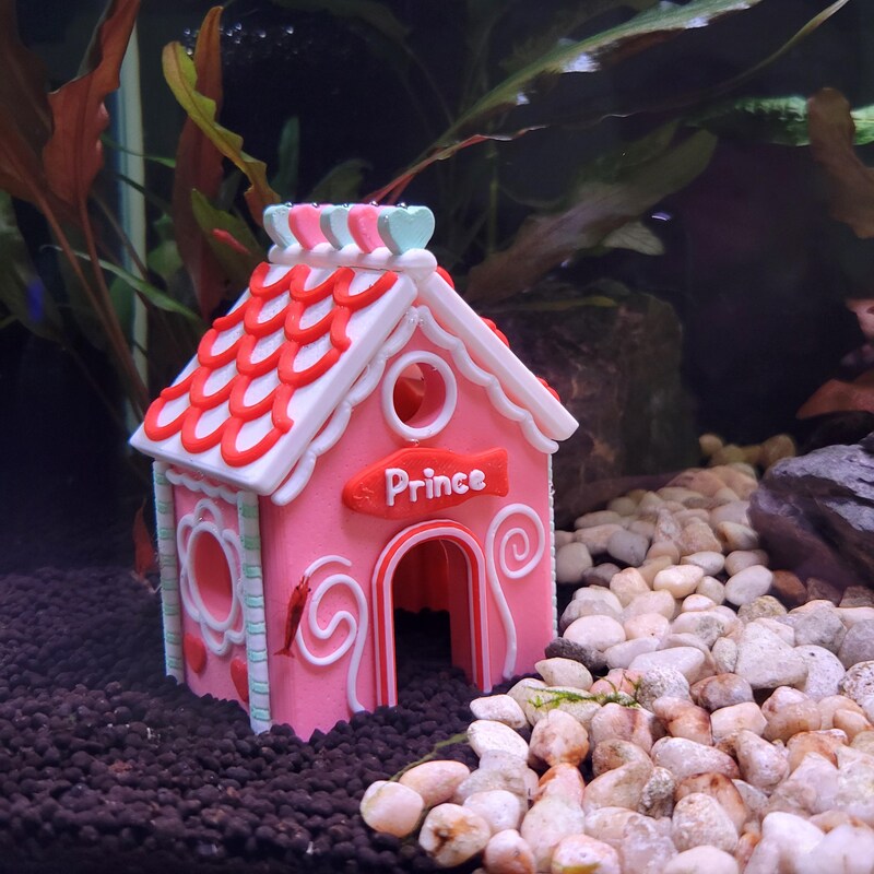 Fish Tank Decor - Etsy