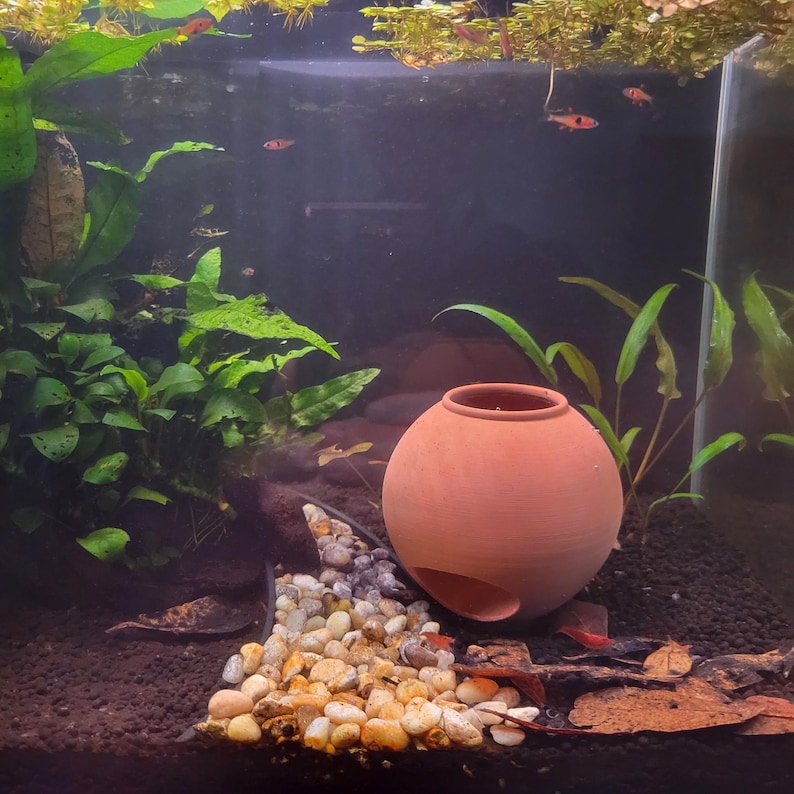 Betta Fish Hide – Korean Moon Jar Aquarium Cave, Shrimp Nano Fish Tank ...