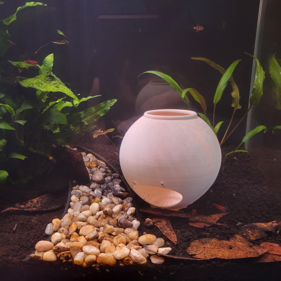 Moon Jar Aquarium Hide – Minimalist Fish & Shrimp Cave, Ceramic-style ...