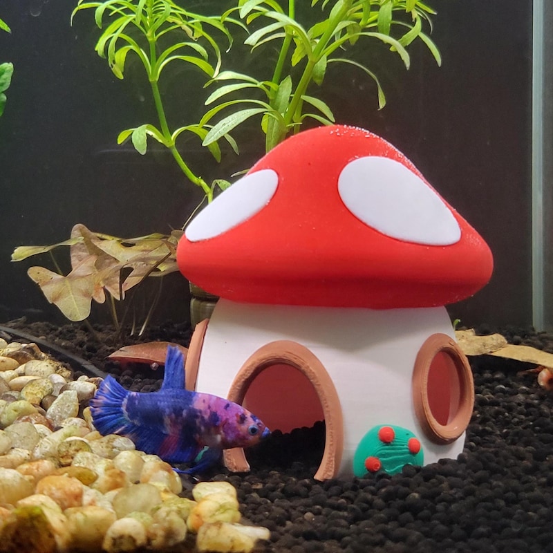 Aquarium Caves for Frogs - Etsy