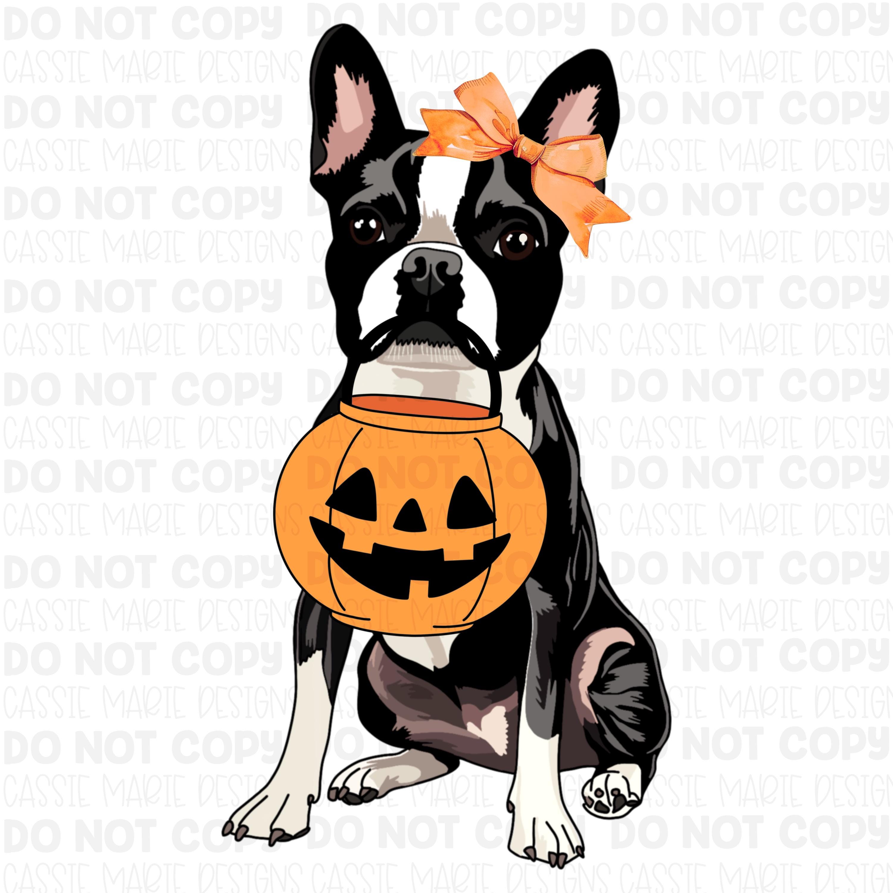 Boston Terrier Halloween PNG, Boston Terrier Halloween, Boston Terrier ...