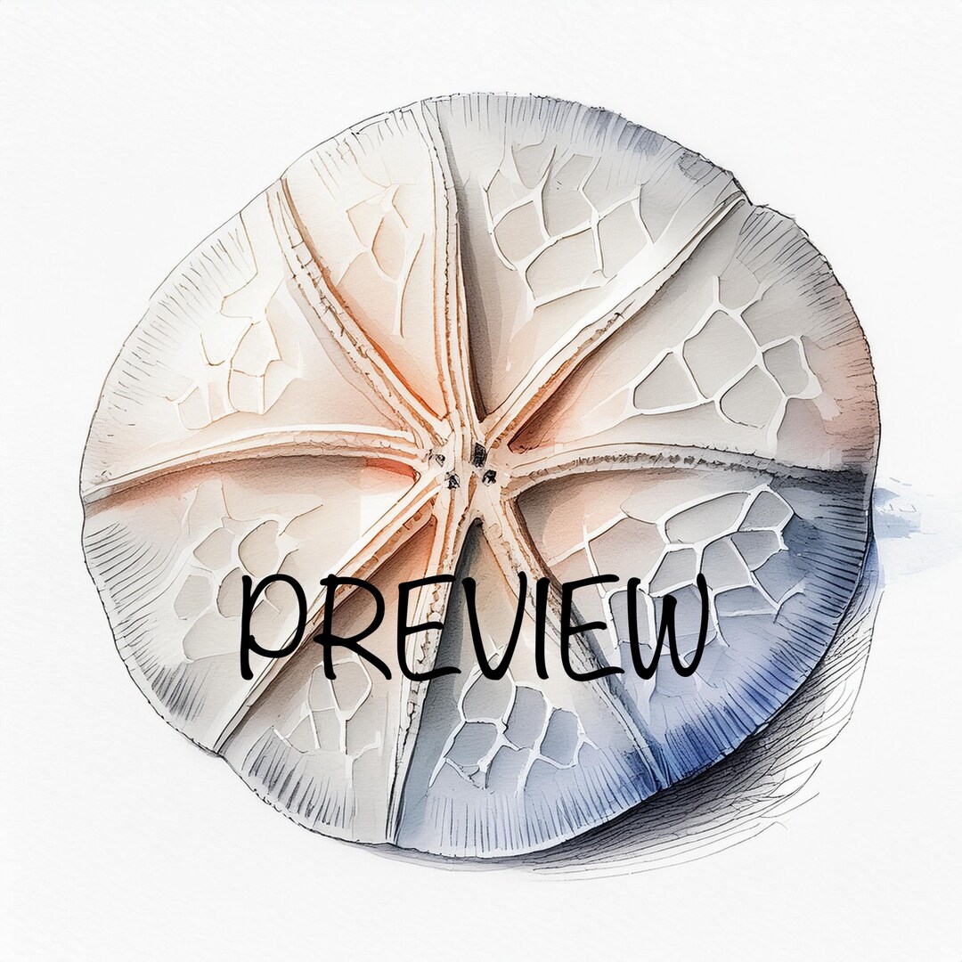 Sand Dollar PRINTABLE DOWNLOADABLE DIGITAL - Etsy