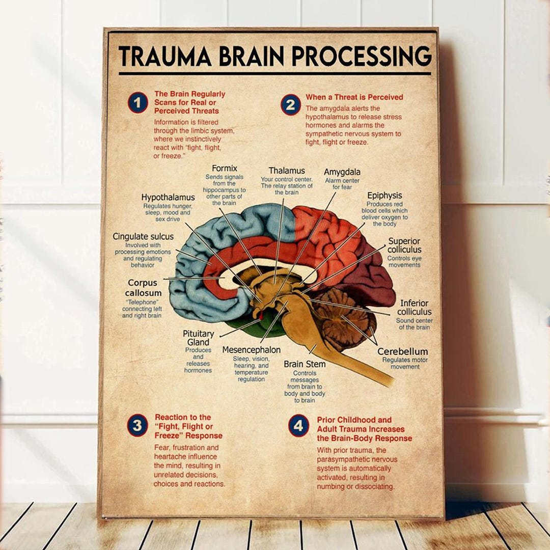 Trauma Brain Processing Poster, Mental Health Poster, Brain Anatomy ...