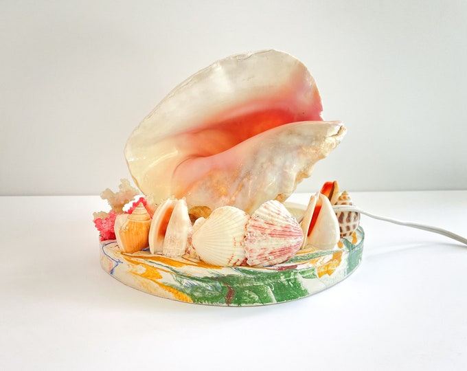 Vintage Conch Sea Shell Light- Lamp- Circa 1960s- With Plaster Base - Etsy
