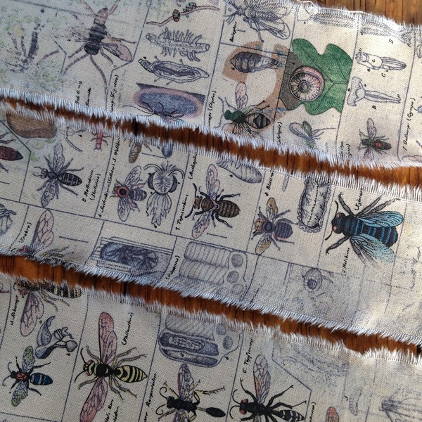 Insect Fabric - Etsy