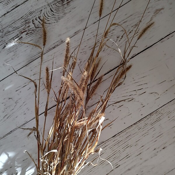 Dried Grass - Etsy