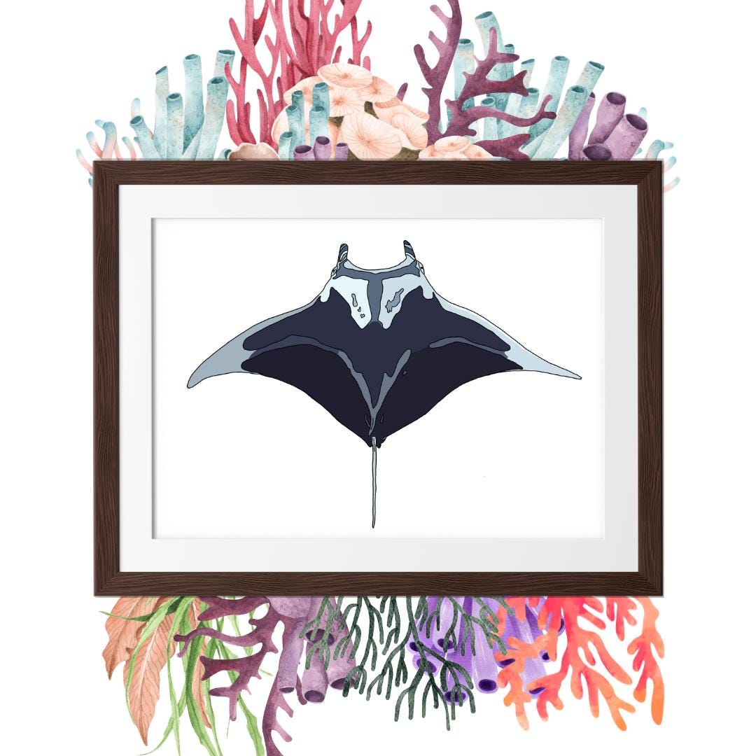 Manta Ray Digital Illustration - Etsy