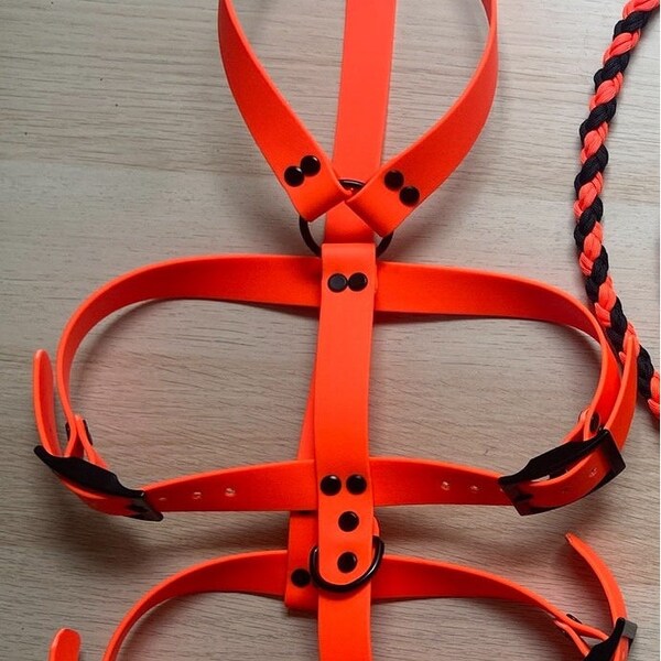 Paracord Dog Harness - Etsy