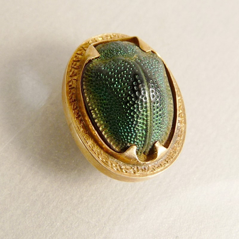 Real Scarab - Etsy