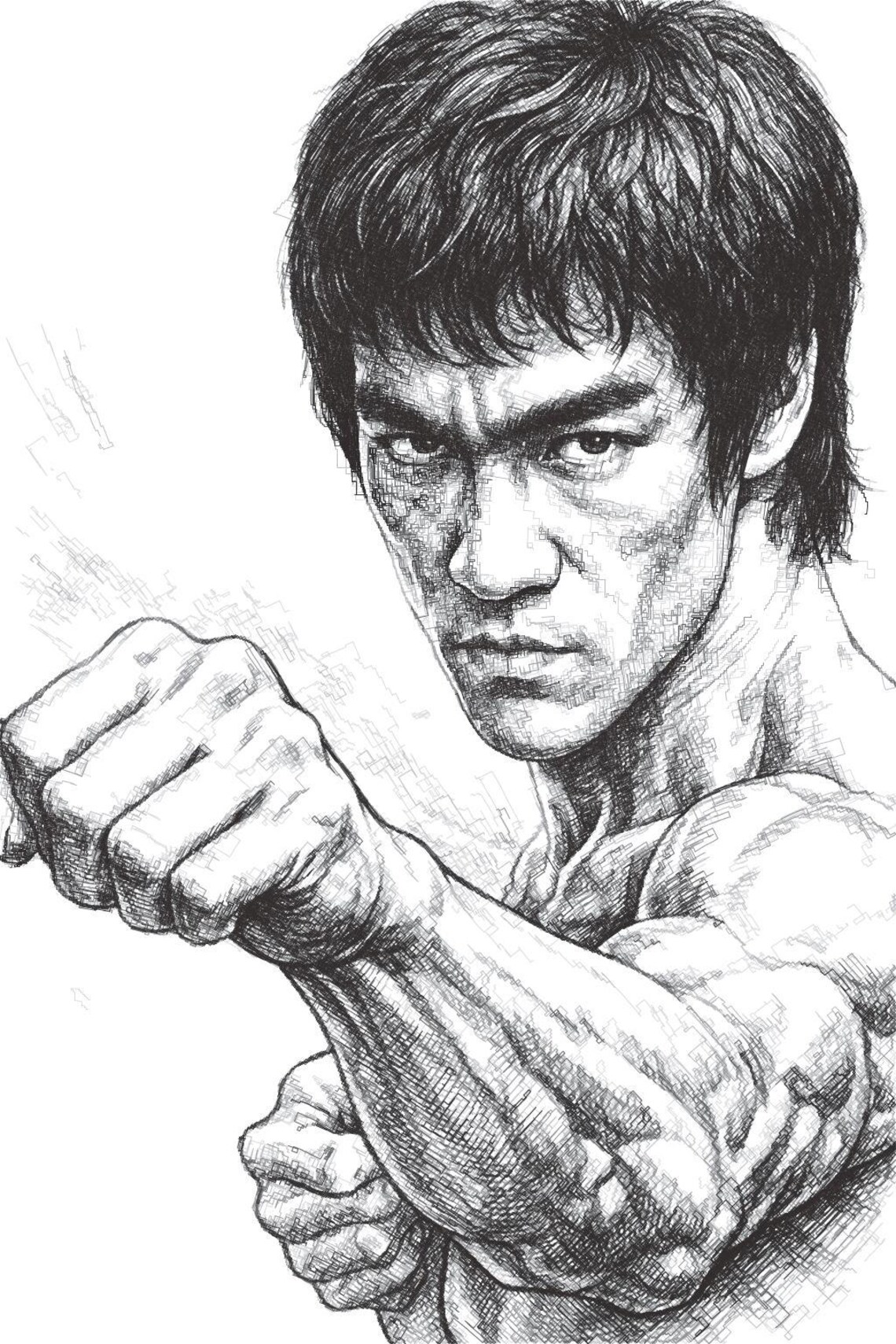 Bruce Lee Line Art SVG Kung Fu Portrait Vector Digital Download - Etsy