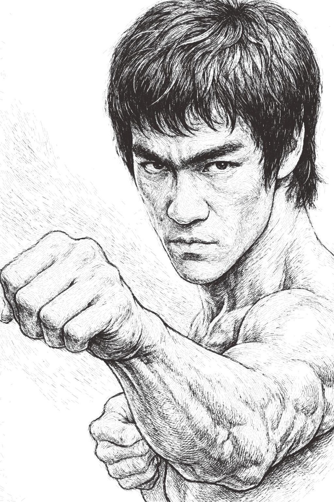 Bruce Lee Line Art SVG Kung Fu Portrait Vector Digital Download - Etsy