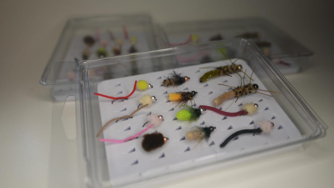 The Trash Fly Variety Pack | 15-pack of Flies With Eggs, Mop Flies ...