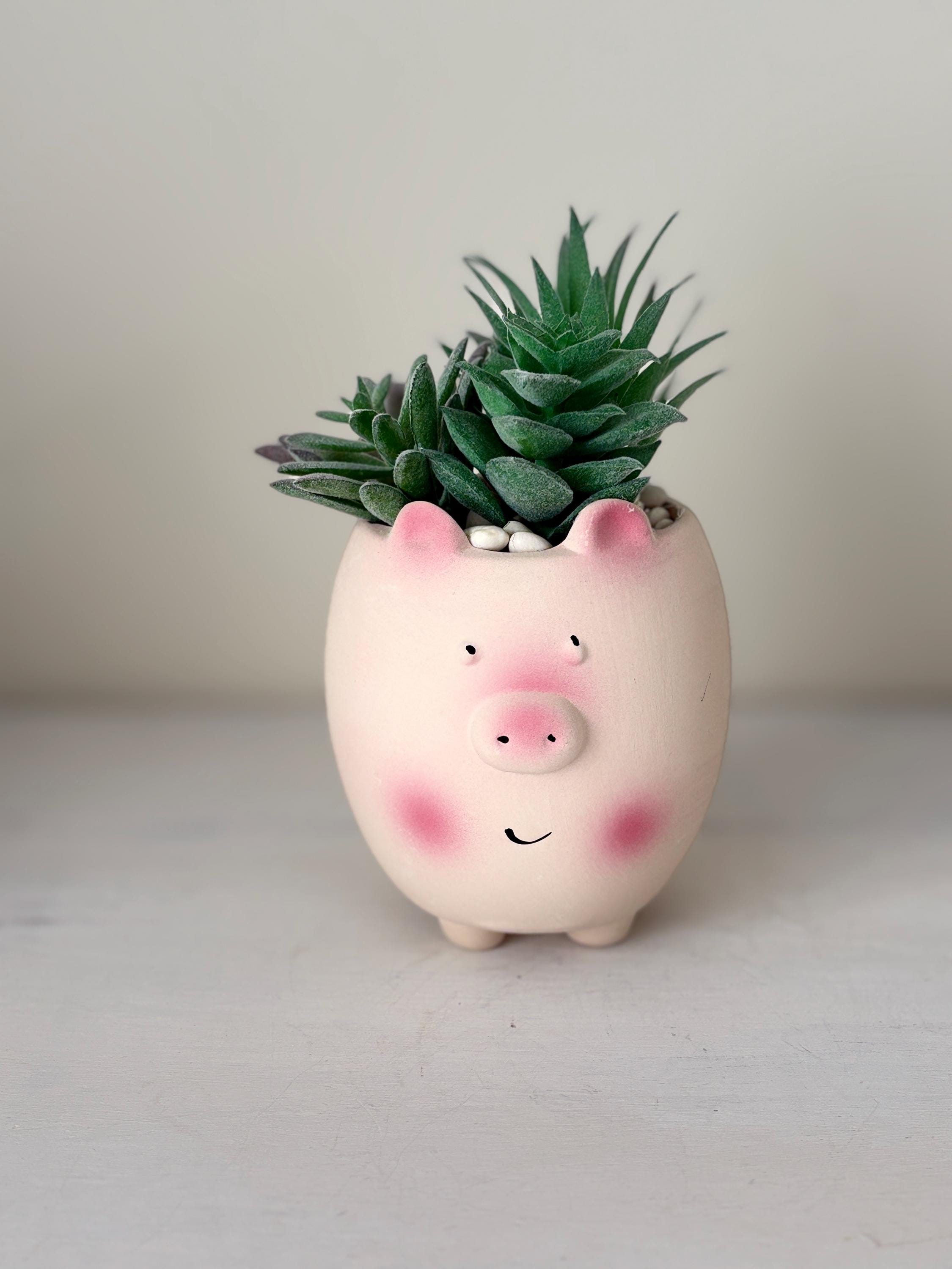 Cute Animal Succulent Planters – With Succulents, Pig, Cow & Panda Mini ...
