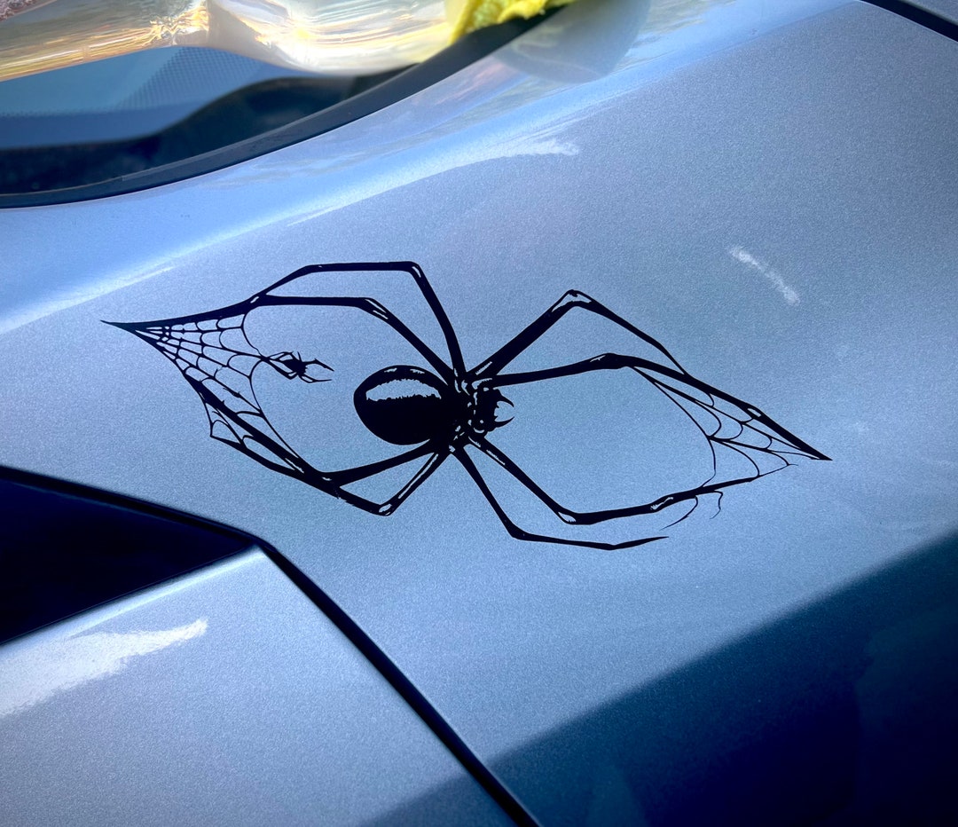 Large Spider Web Vinyl Sticker—weatherproof—uv Resistant—perminant ...