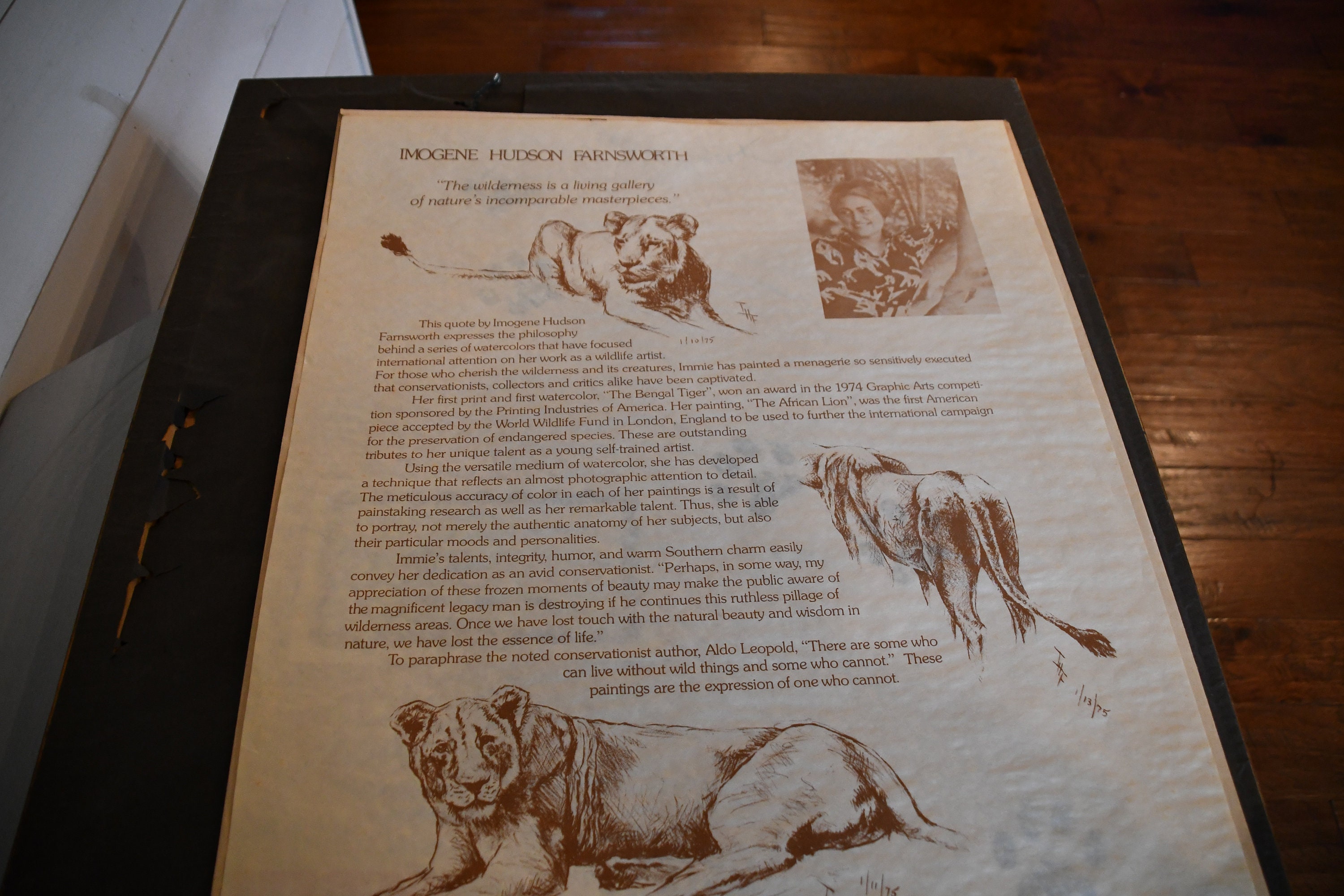 Imogene H. Farnsworth 1975 Bengal Tiger Lithograph Signed, Numbered 613 ...