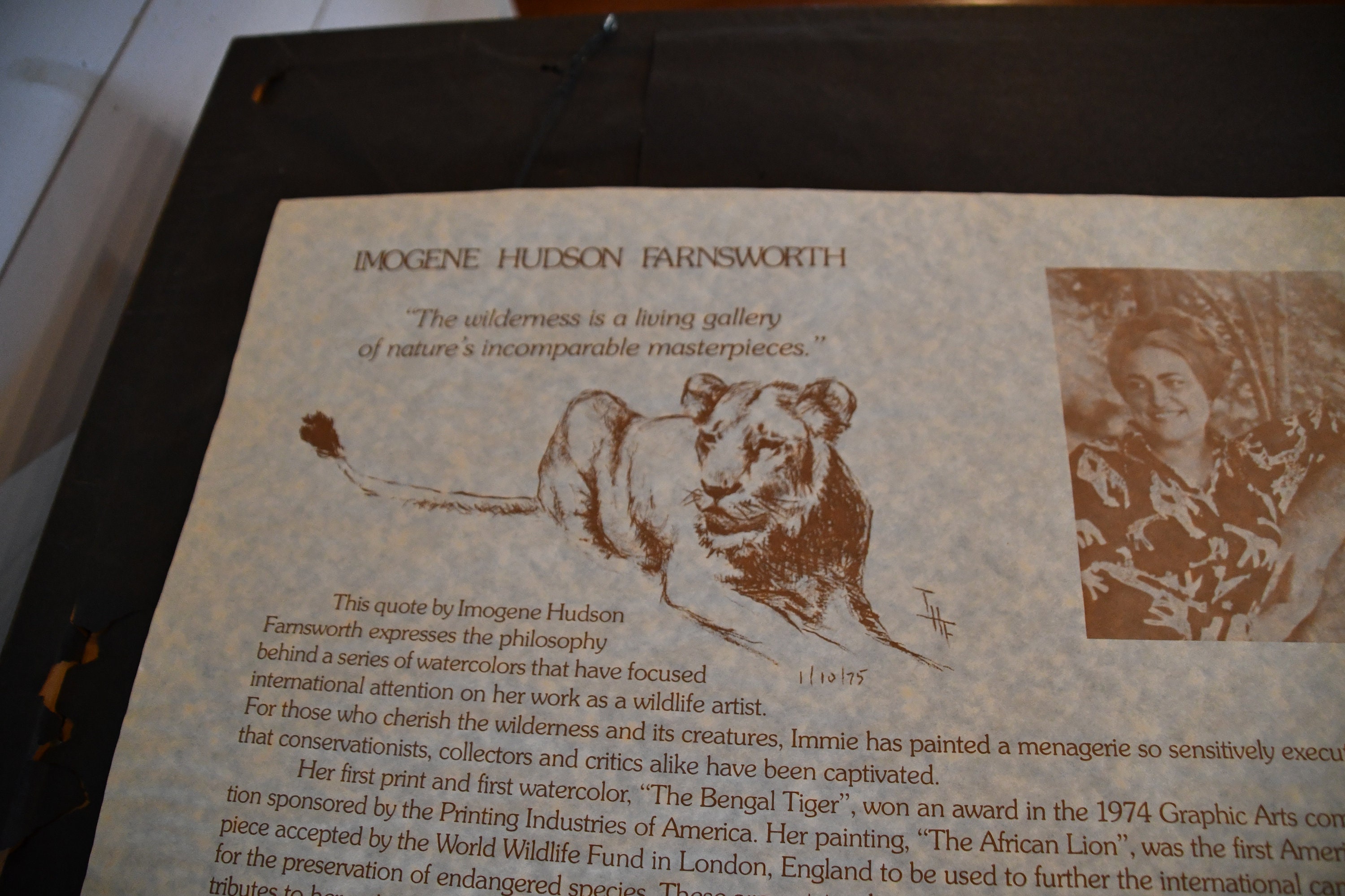 Imogene H. Farnsworth 1975 Bengal Tiger Lithograph Signed, Numbered 613 ...