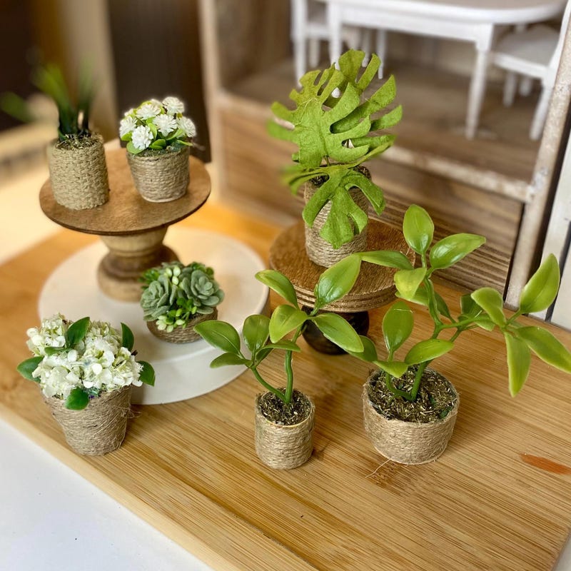 Miniature Plants - Etsy