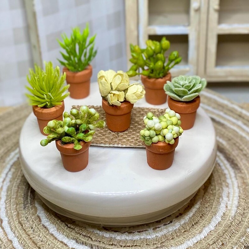 Miniature Plants - Etsy