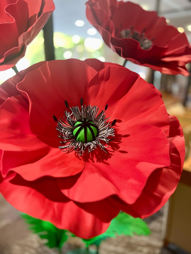 Giant Red Poppies- Perfect for a Wizard of Oz Theme, Large Flowers for ...