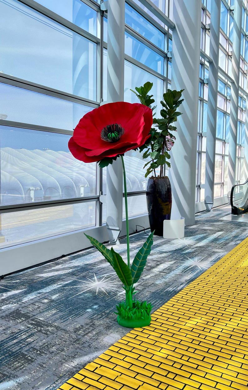 Giant Red Poppies - Ideal for Wizard of Oz Themes, Large Flowers for ...