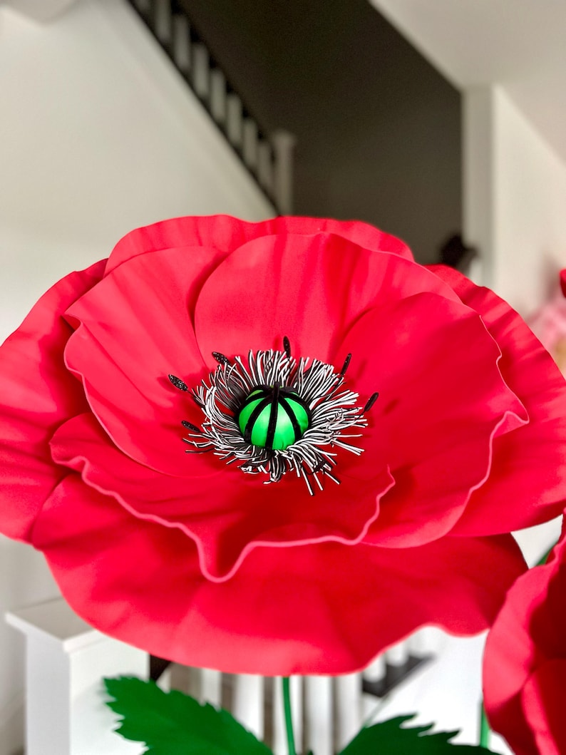 Giant Red Poppies- Perfect for a Wizard of Oz Theme, Large Flowers for ...