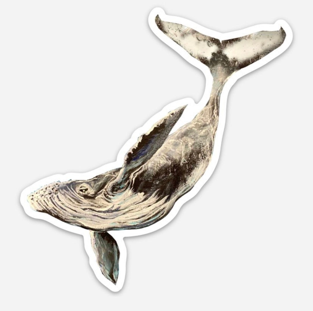 Humpback Whale Swimming Sticker - Etsy