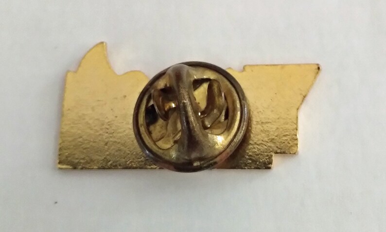 Guinness Swimming Record Relay Mystery Enameled Pin 4-11-1988 - Etsy