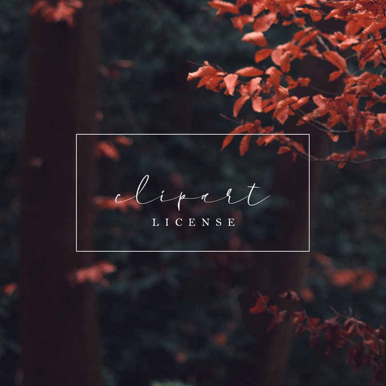 Clipart Commercial License for Mass Production (over 100 Copies) - Etsy