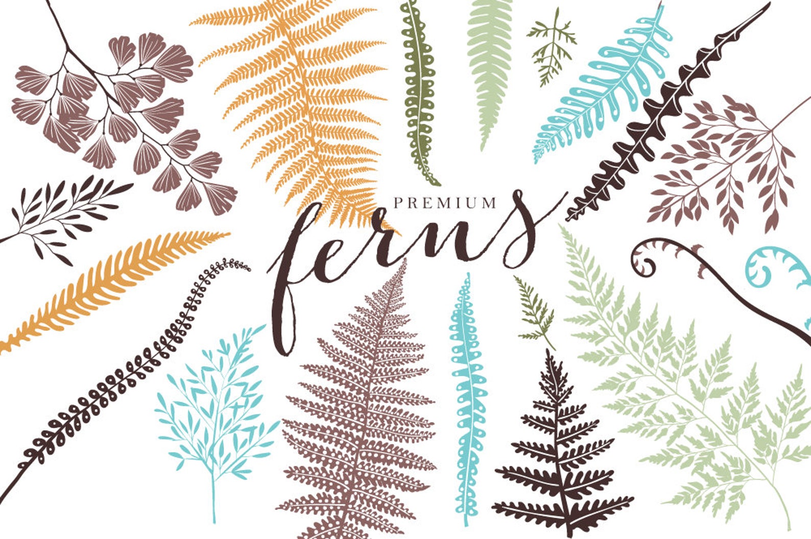 Ferns Clipart Hand Drawn Fern Clip Art Botanical Clip Art - Etsy