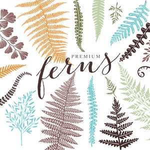 Ferns Clipart Hand Drawn Fern Clip Art Botanical Clip Art Forest Leaves ...