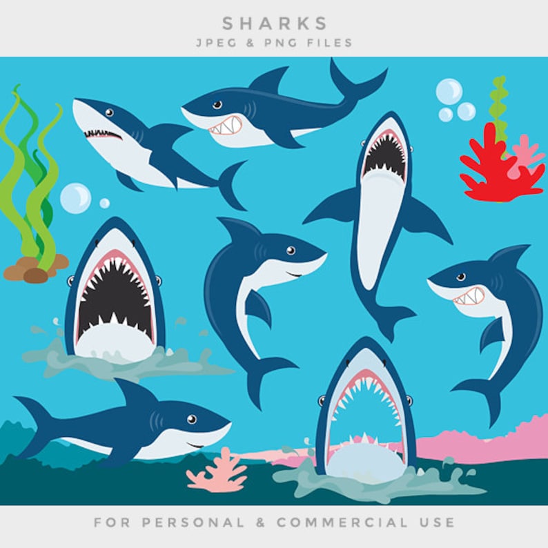 Shark Clipart Shark Clip Art Sea Clip Art Seaweed Coral Sea | Etsy