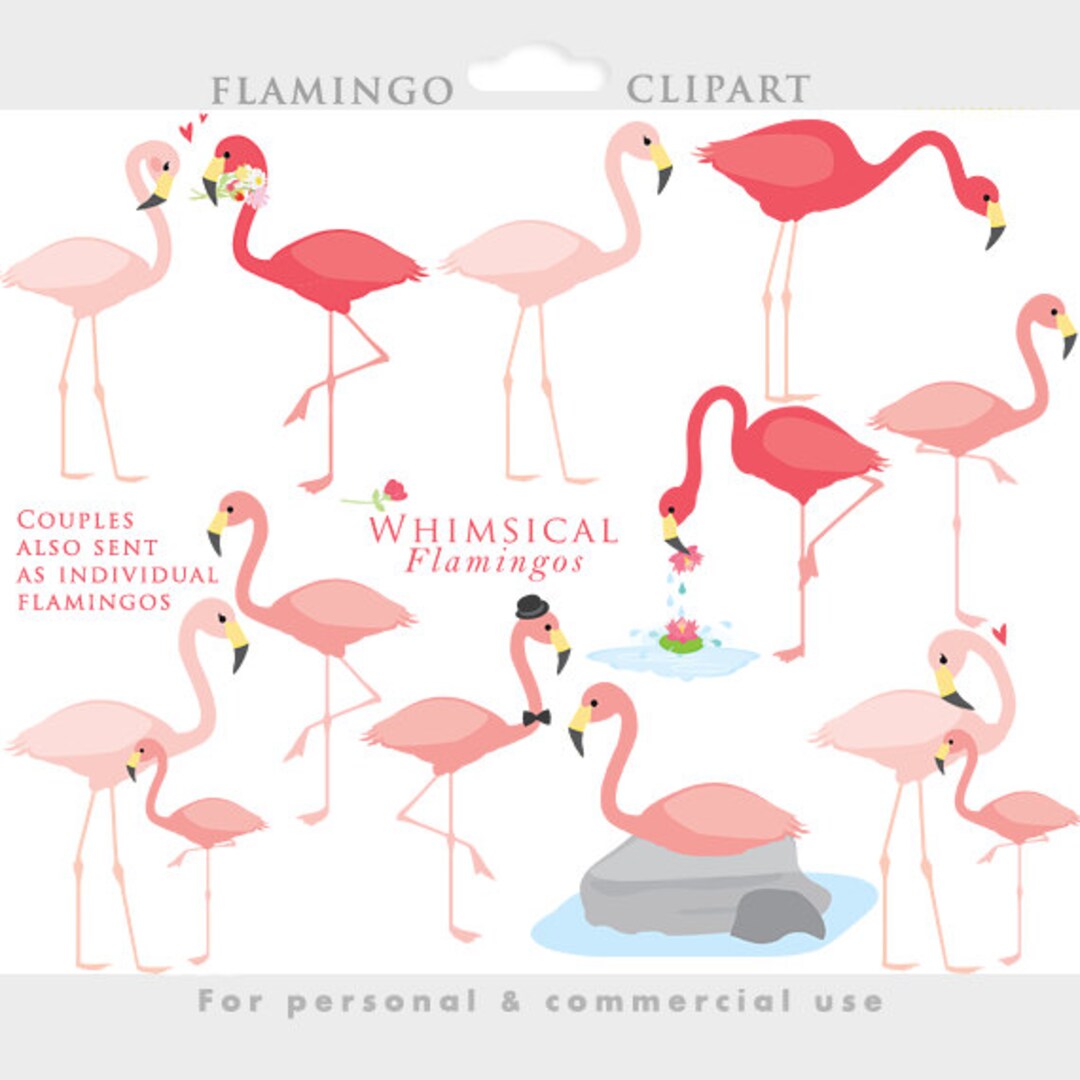 Flamingo Clipart - Flamingos Clip Art Flamingoes Birds Baby in Love ...